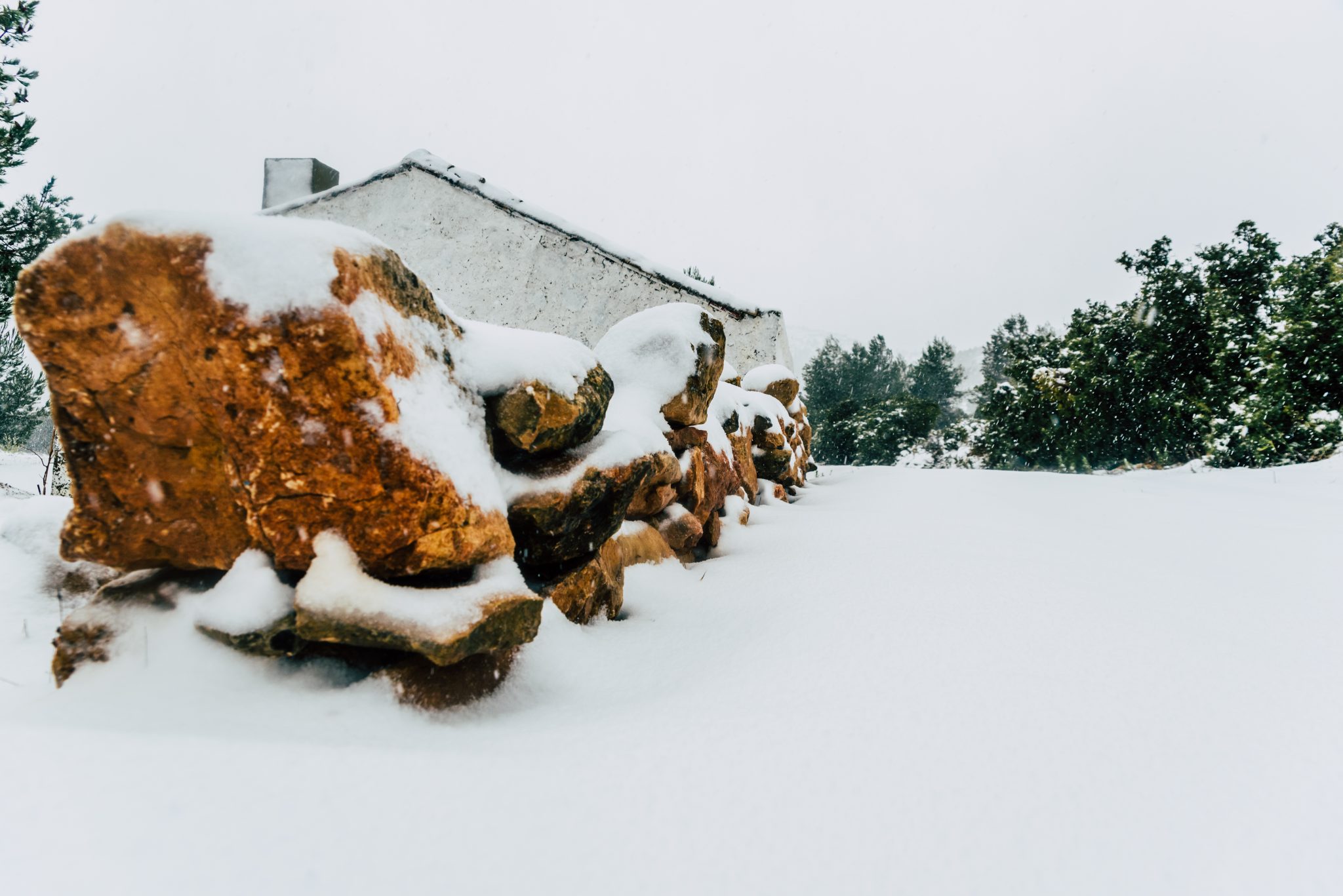 Inside Allstate's Homeowners Claims: A Detailed Overview